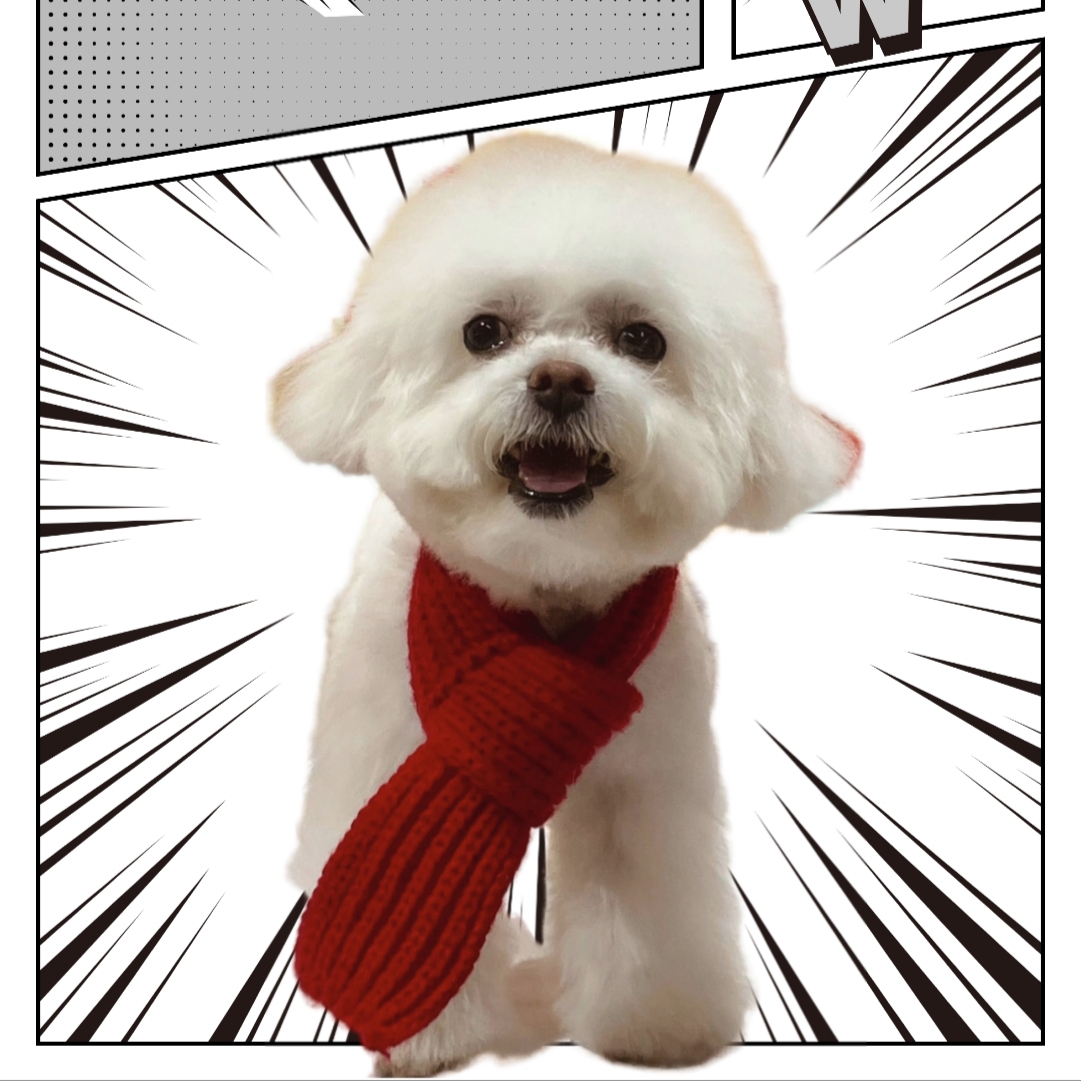 Java反射与Kotlin反射：同源异流的镜像魔法 - 博客